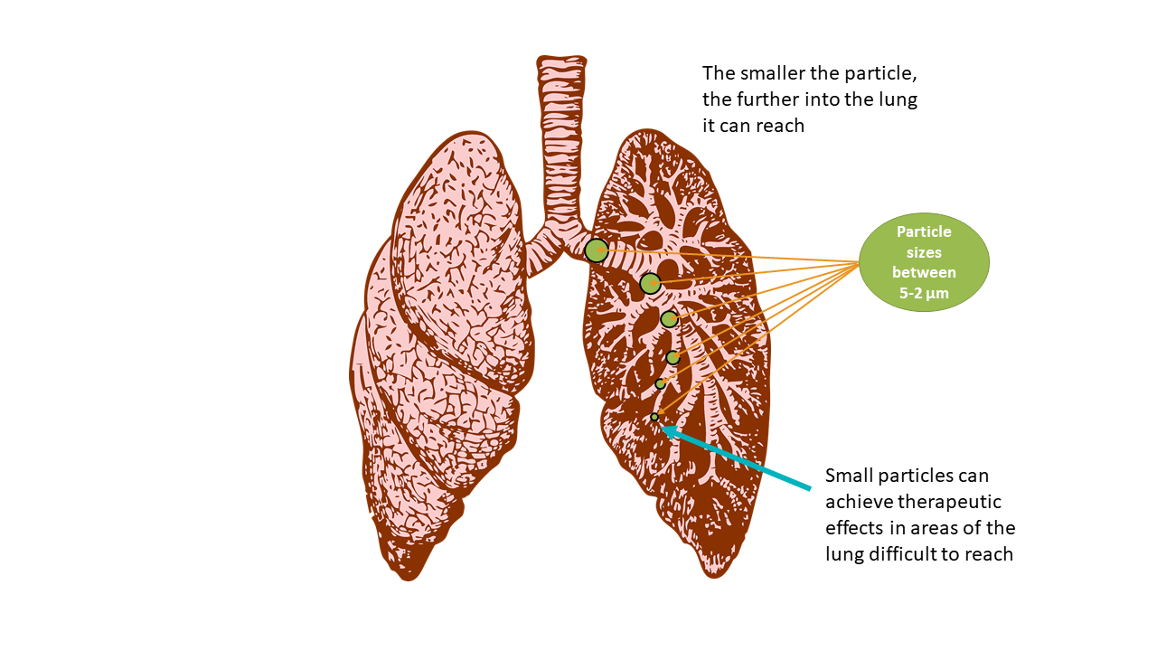 Drug Development – Nanologica